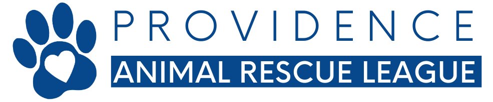 Adoptable Dogs in Rhode Island | Providence Animal Shelter