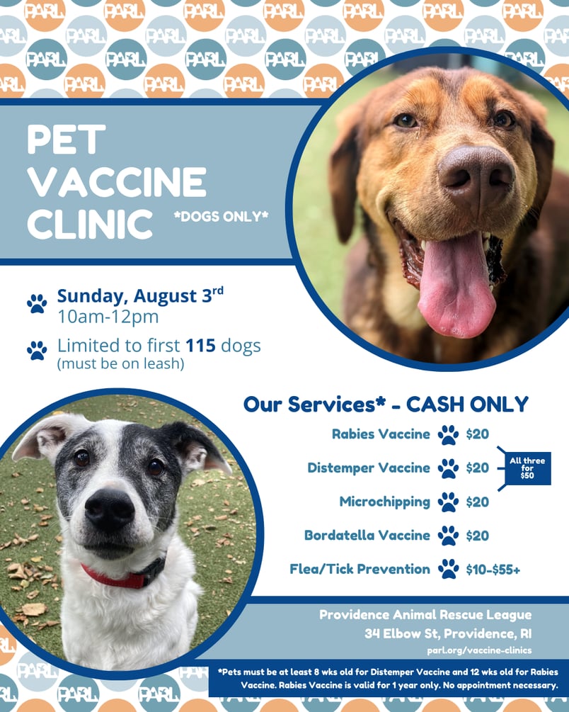 Low Cost Vaccines | Microchipping | Providence Rhode Island | PARL