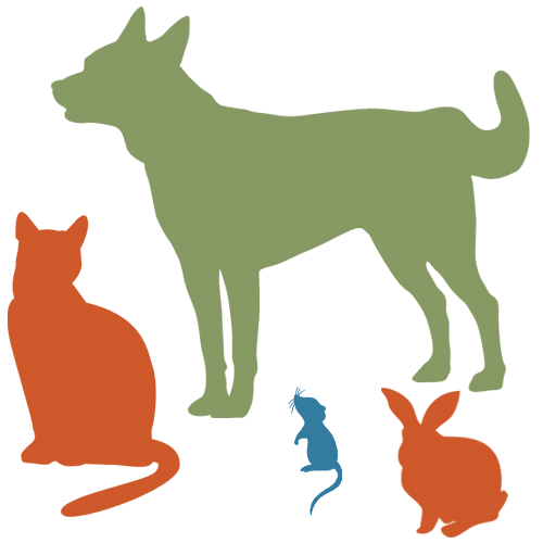 Providence Animal Rescue League | Rhode Island Animal Shelter