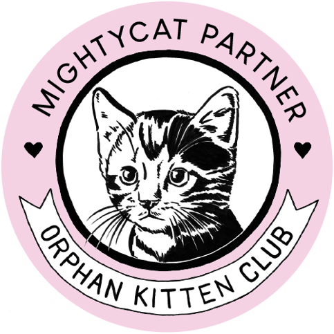Providence Animal Rescue League | Rhode Island Animal Shelter
