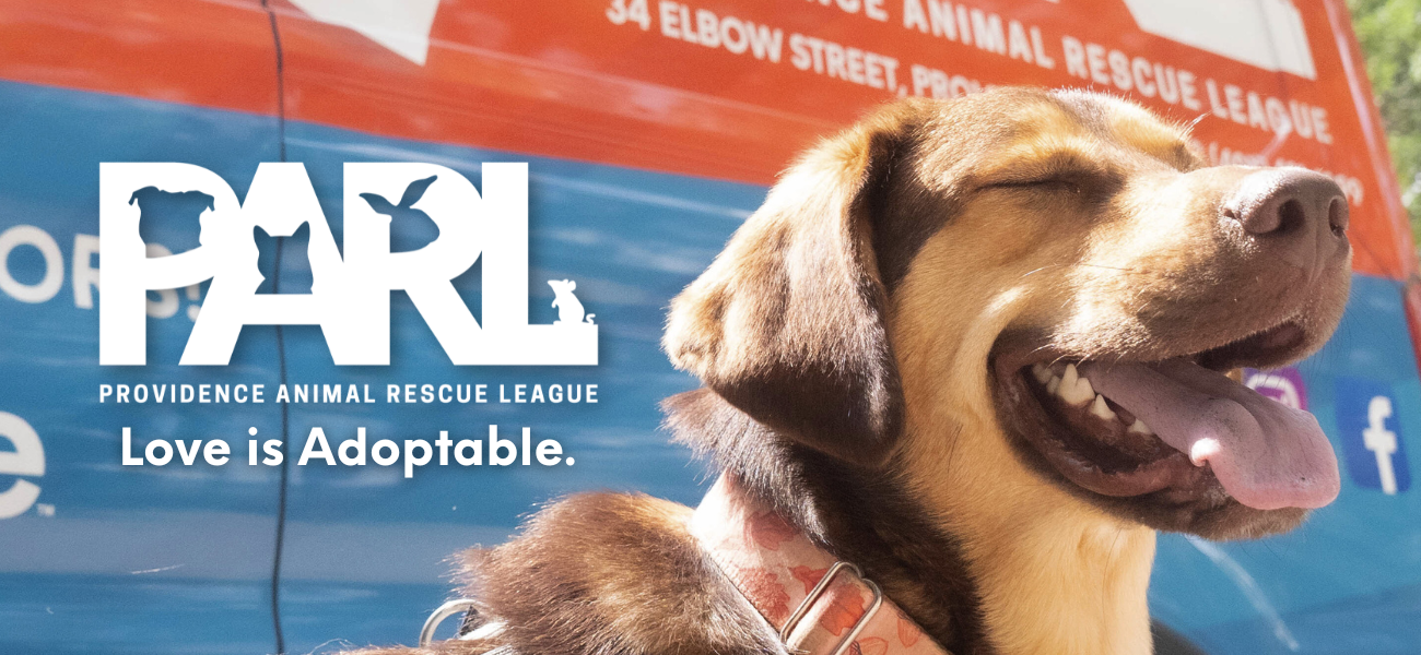 Providence Animal Rescue League | Rhode Island Animal Shelter
