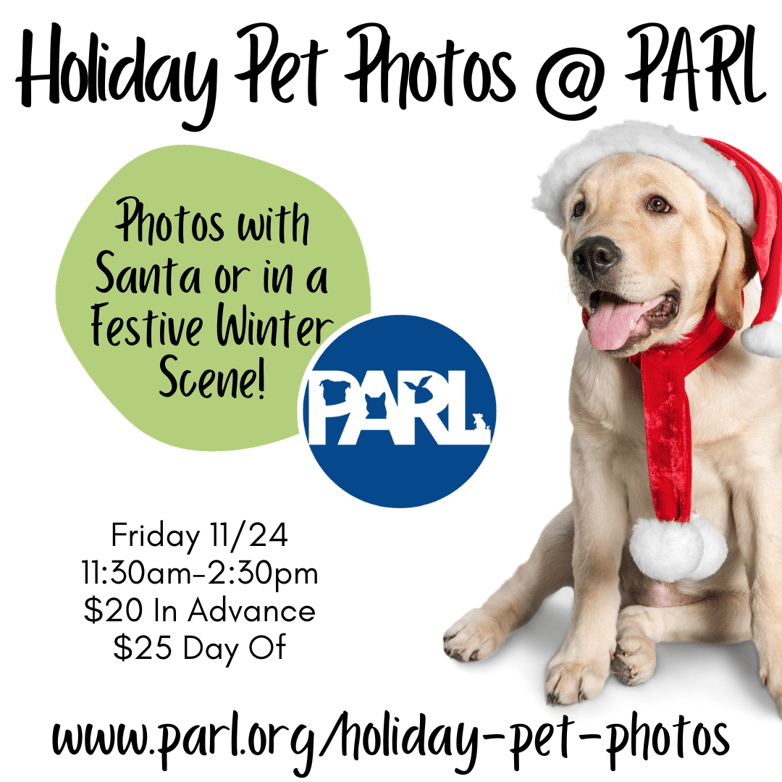 Events | Providence Animal Rescue League | Rhode Island
