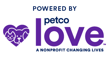 Providence Animal Rescue League | Rhode Island Animal Shelter
