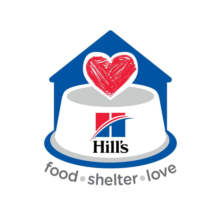Providence Animal Rescue League | Rhode Island Animal Shelter