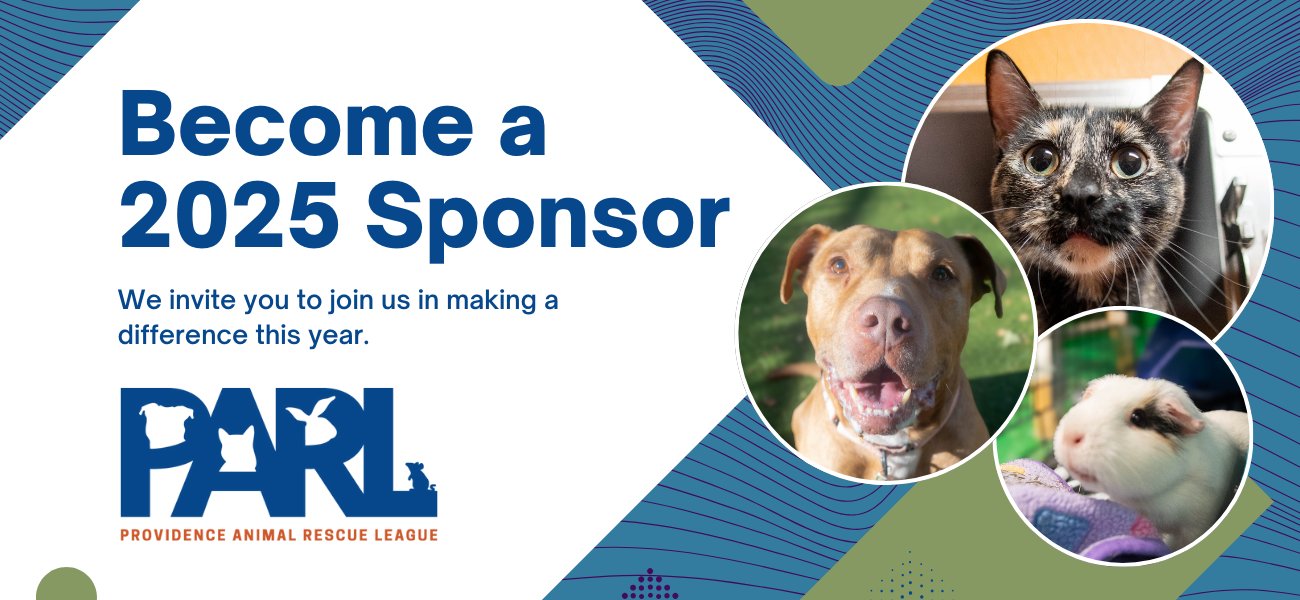Providence Animal Rescue League | Rhode Island Animal Shelter