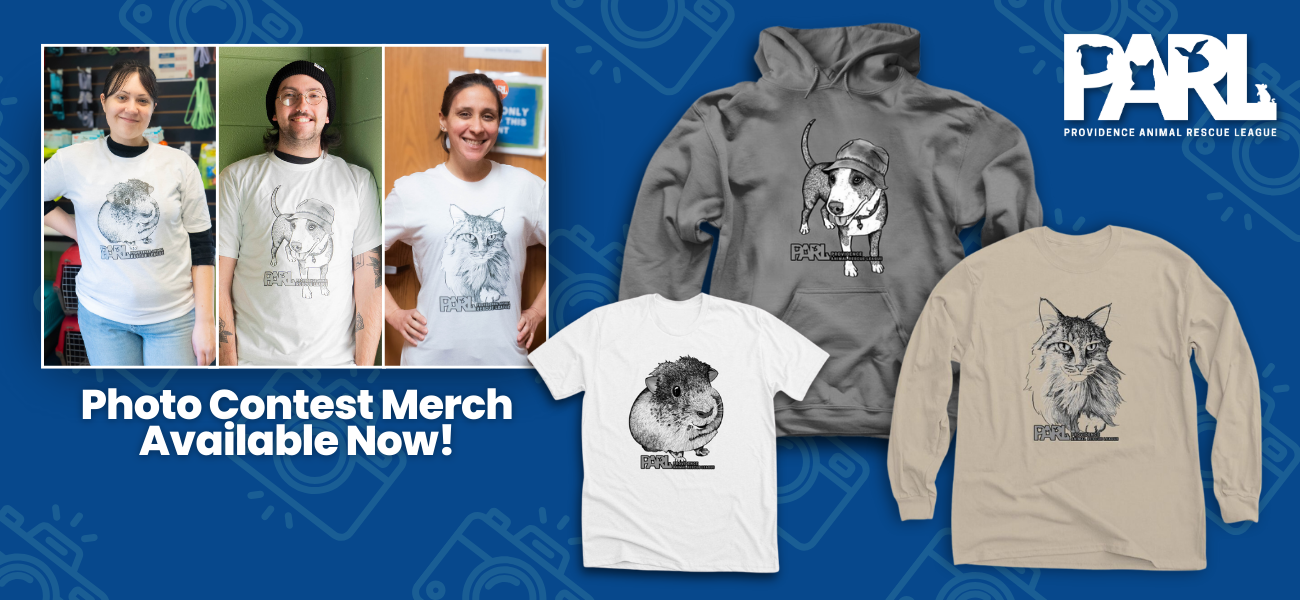 Providence Animal Rescue League | Rhode Island Animal Shelter