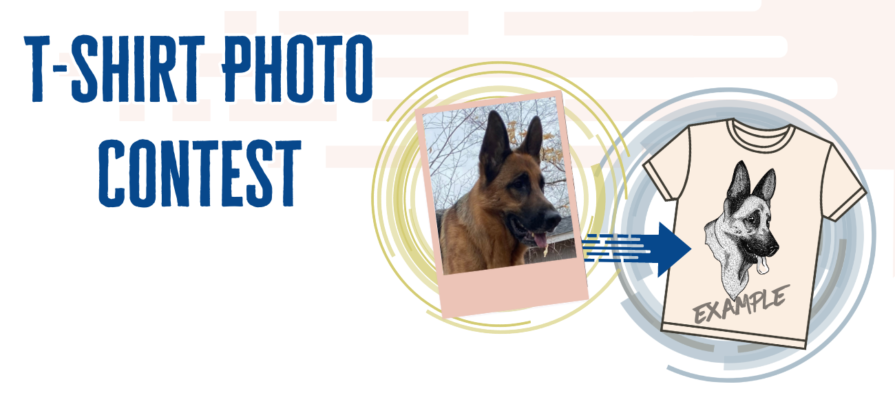 Providence Animal Rescue League | Rhode Island Animal Shelter