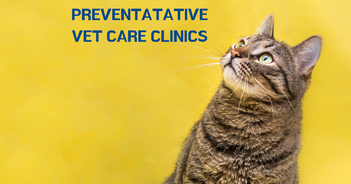 Providence Animal Rescue League | Rhode Island Animal Shelter