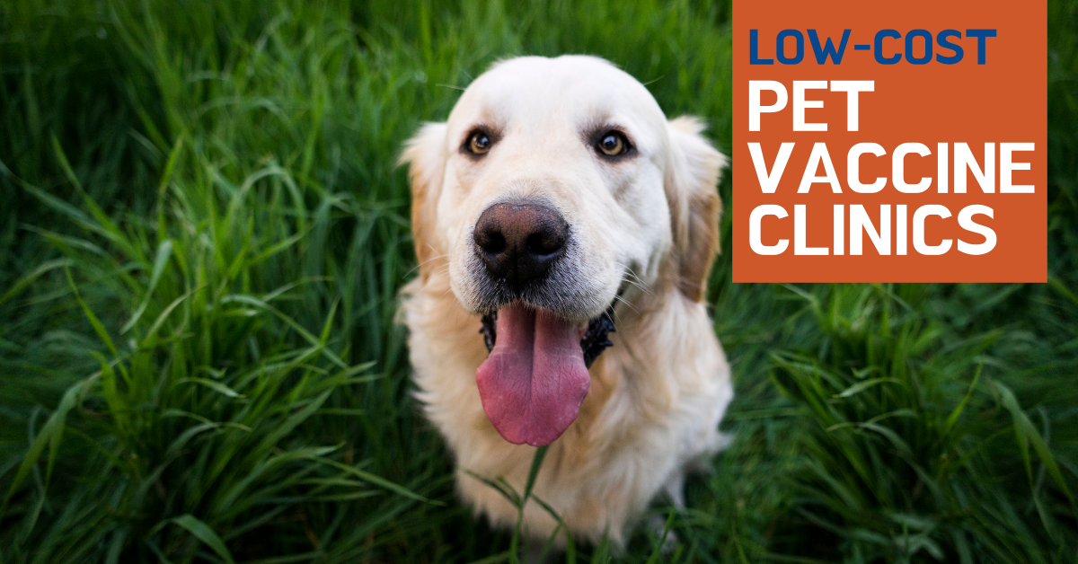 Providence Animal Rescue League | Rhode Island Animal Shelter